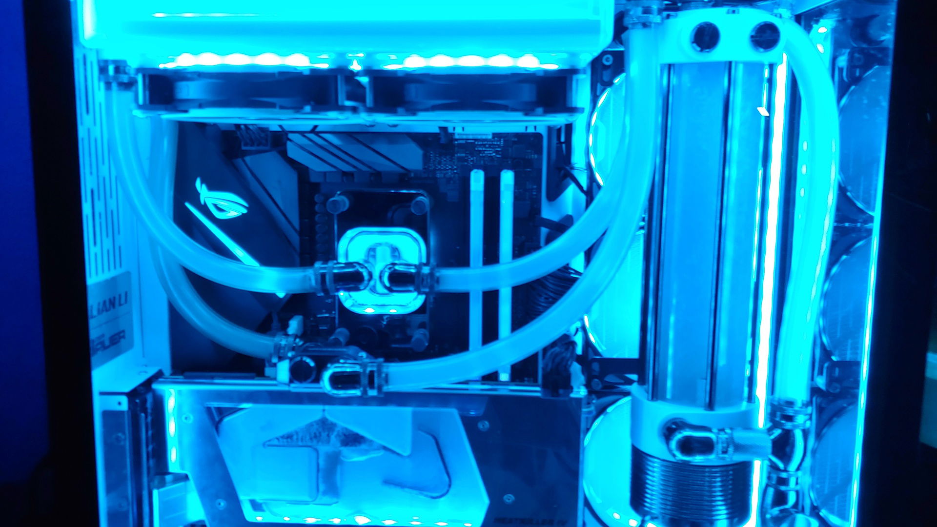 I AM GROOT!!! My first custom loop with insane RGB overkill » builds.gg