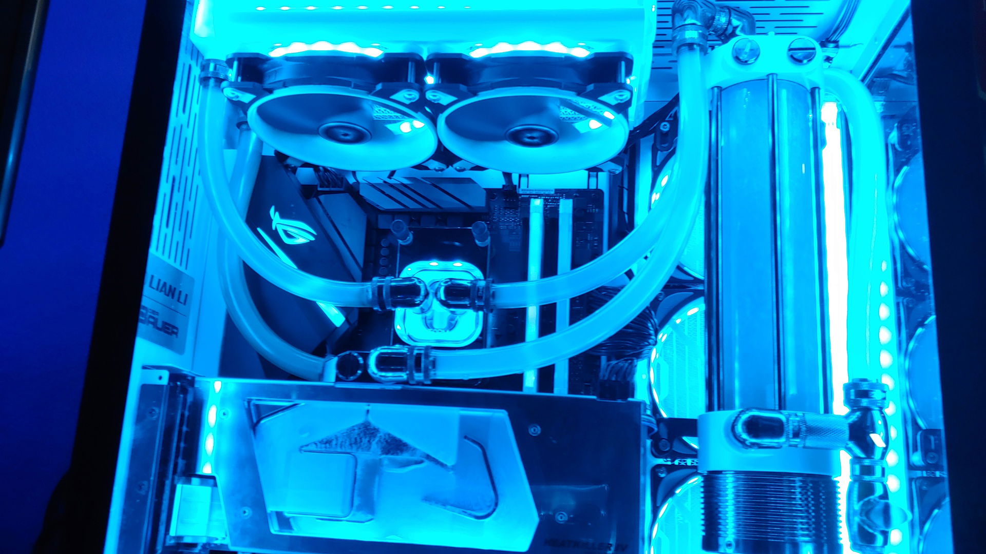 I AM GROOT!!! My first custom loop with insane RGB overkill » builds.gg