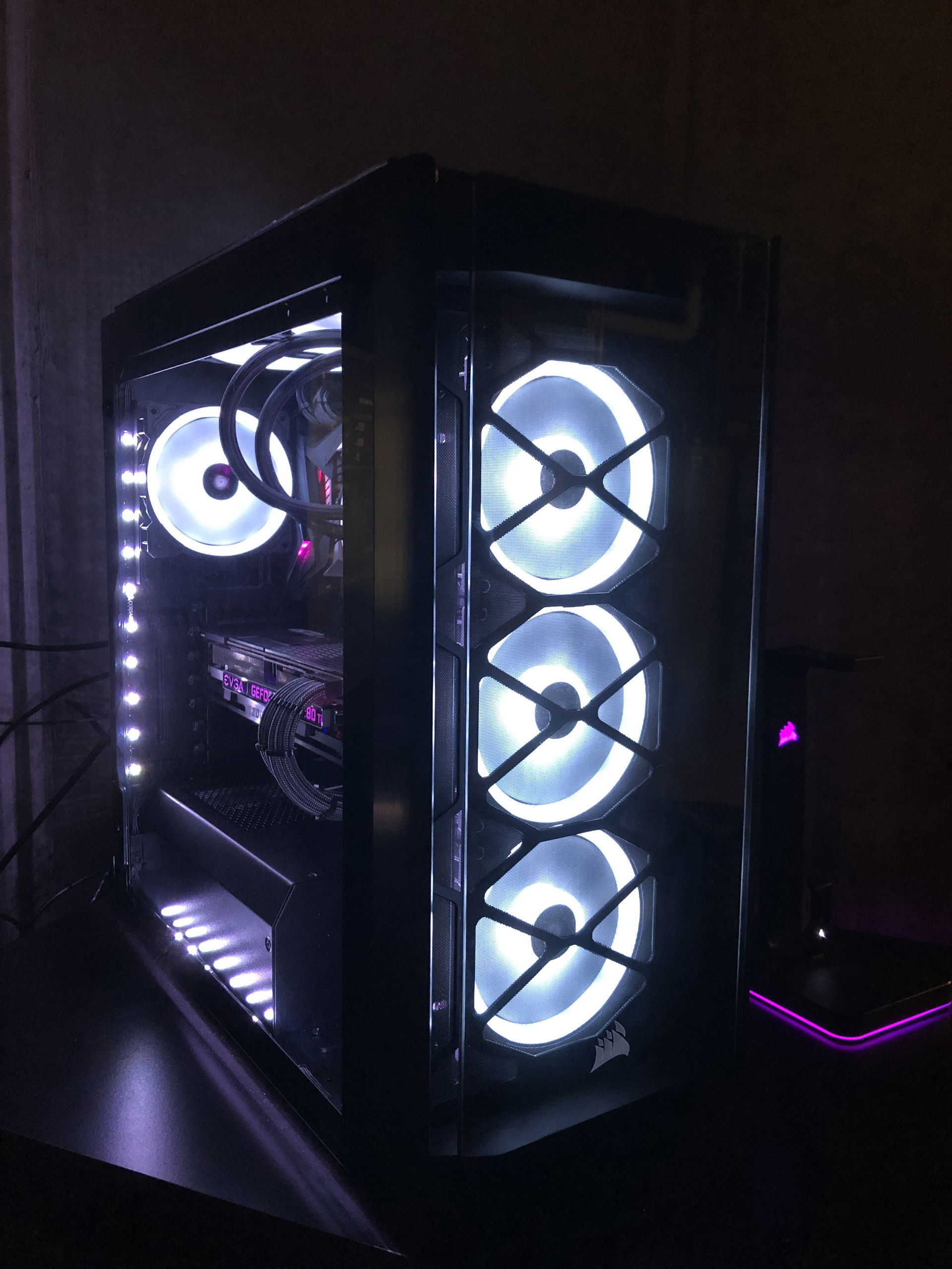 My First Build - Purple Cobra » builds.gg