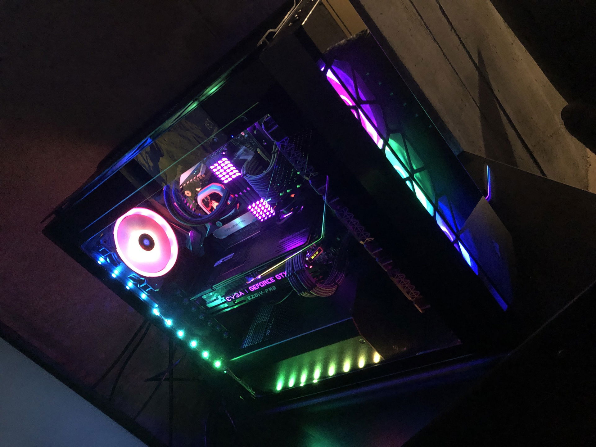 My First Build - Purple Cobra » builds.gg