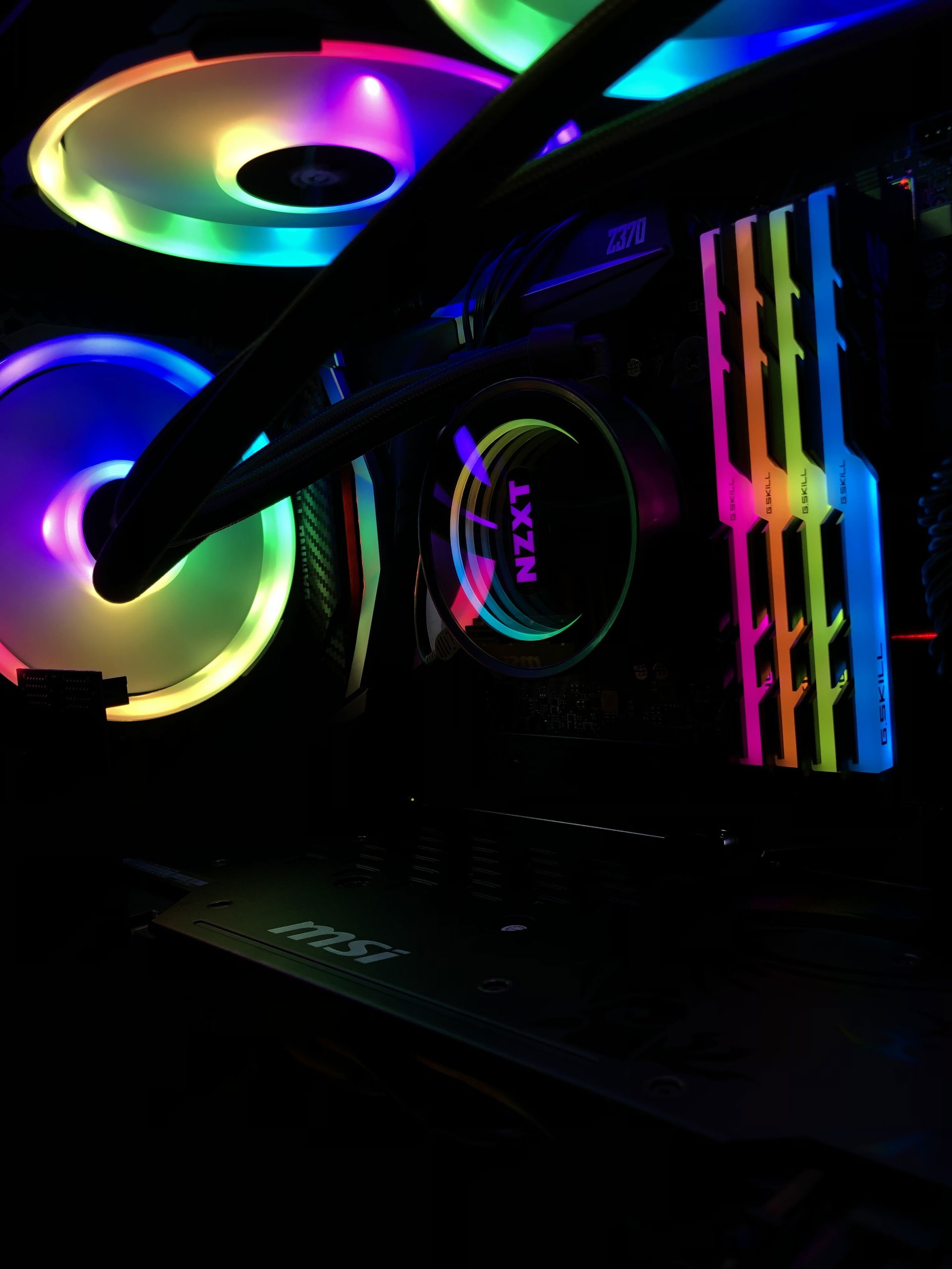 First Personal RGB RIG :) » builds.gg