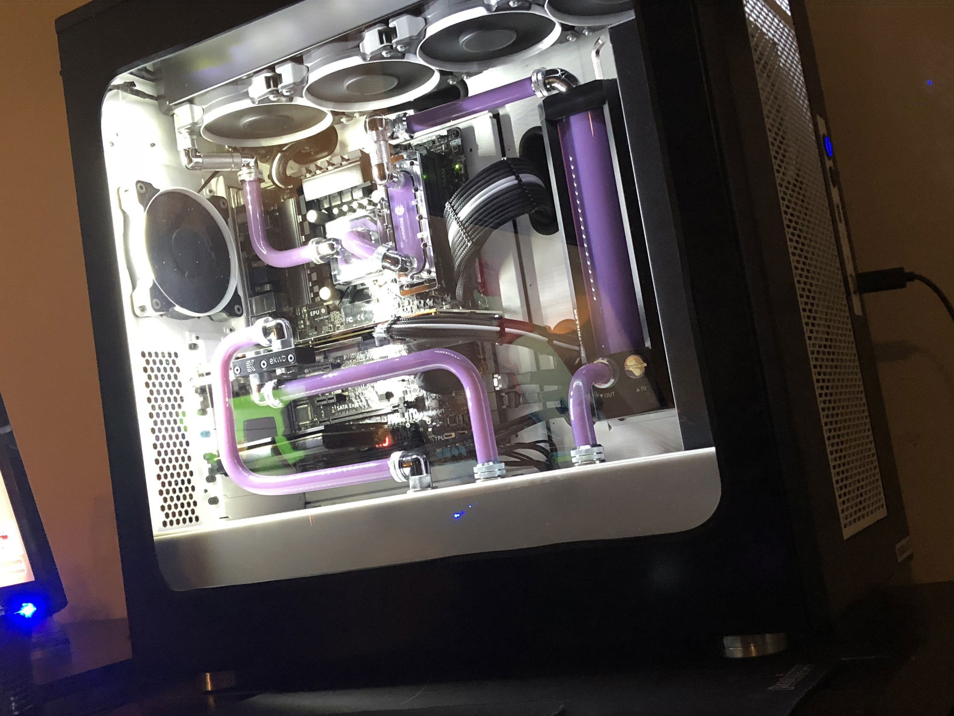 Caselabs SM8 PROJECT B "THE BENDS" » builds.gg