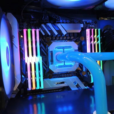 View 71 Rainbow six Siege » builds.gg