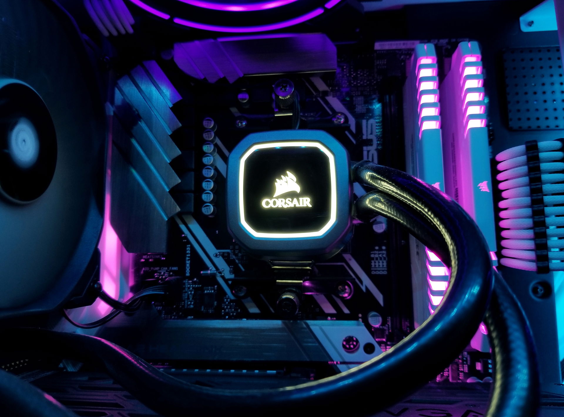 Arctic Punk » builds.gg