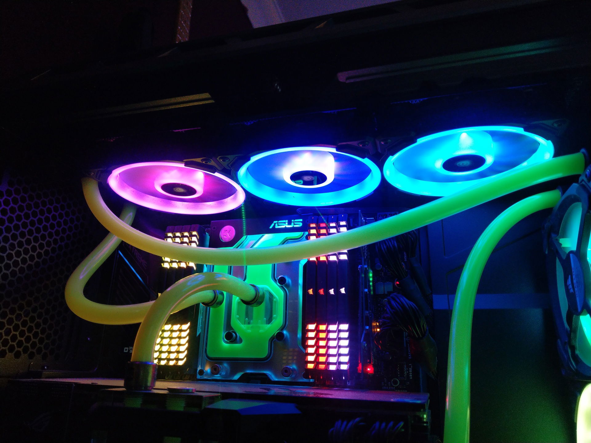 Firefly » builds.gg