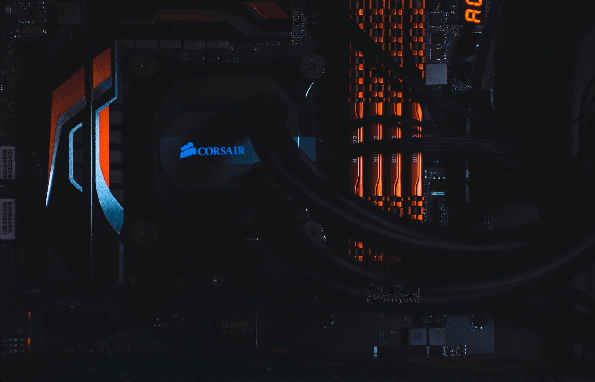 The Beast » builds.gg