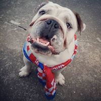 Milan Sudar » builds.gg